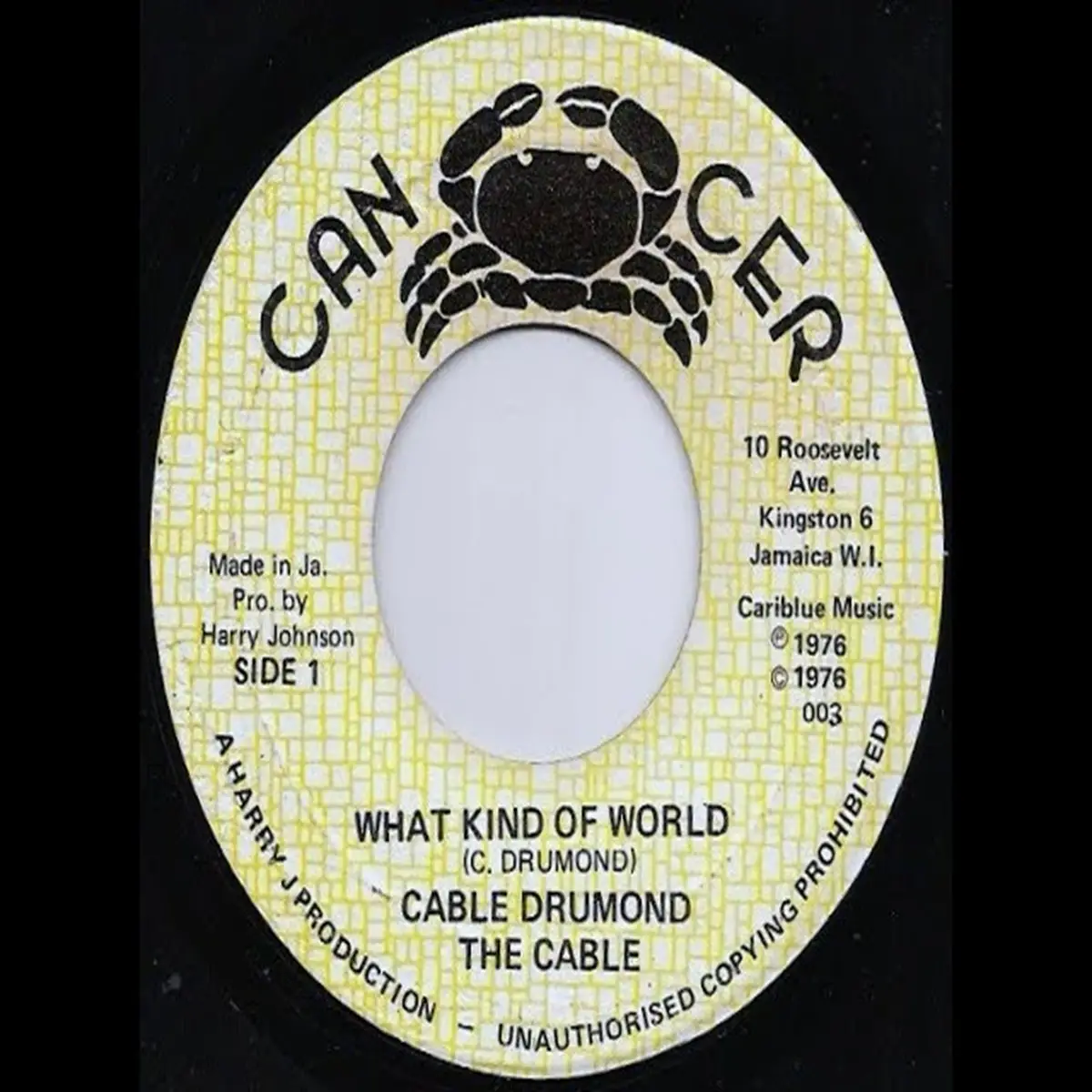 What Kind Of World Riddim - Various Labels